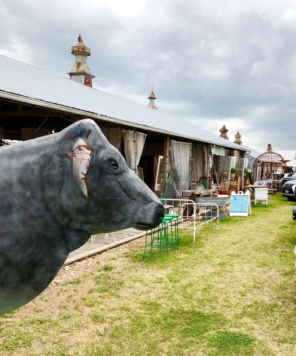 Michele Marano Tours Round Top from a Whole New Level of Empowerment ...